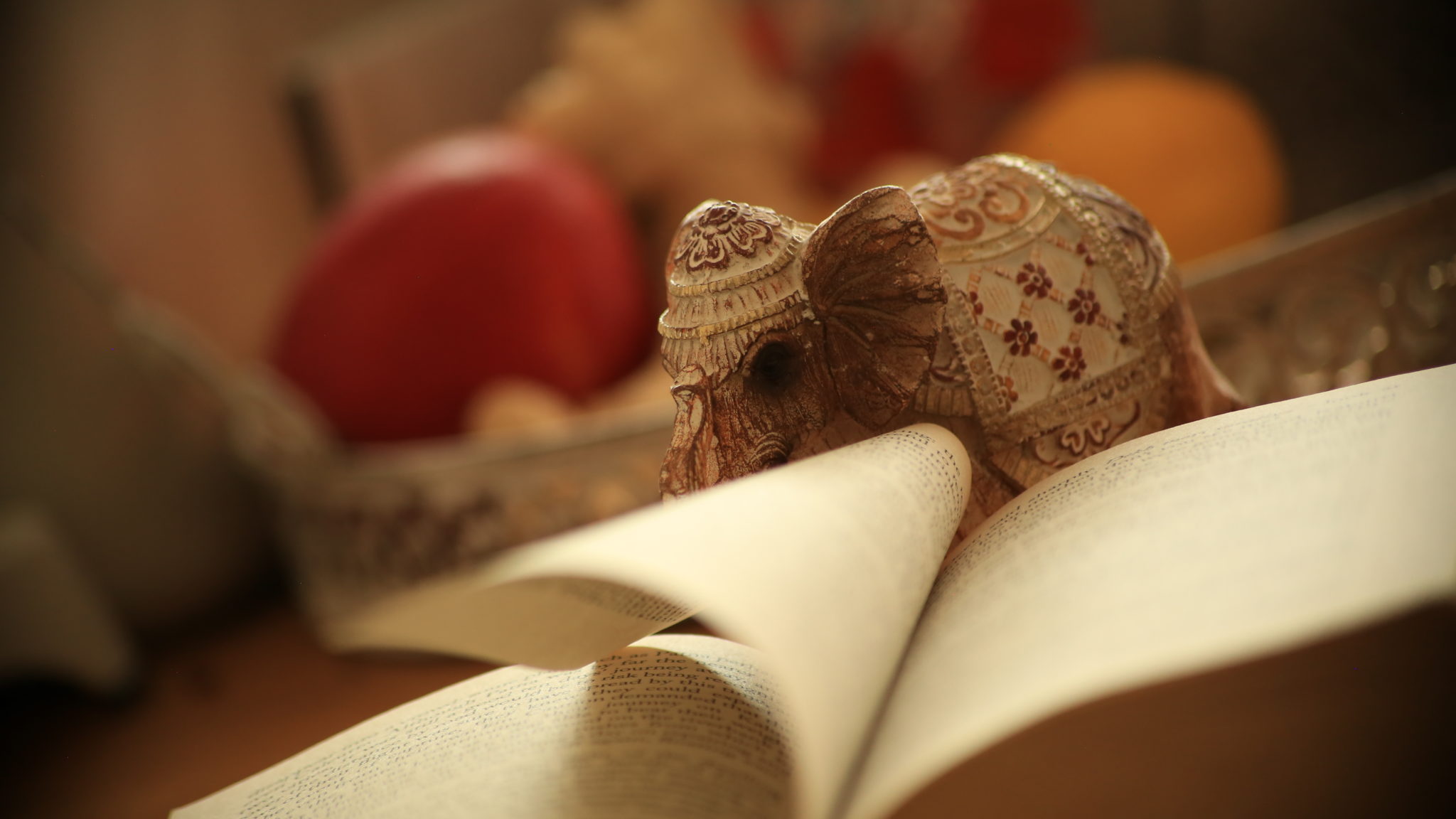 The Book : Amitav Ghosh, The Ibis Trilogy – The Ritual of Reading