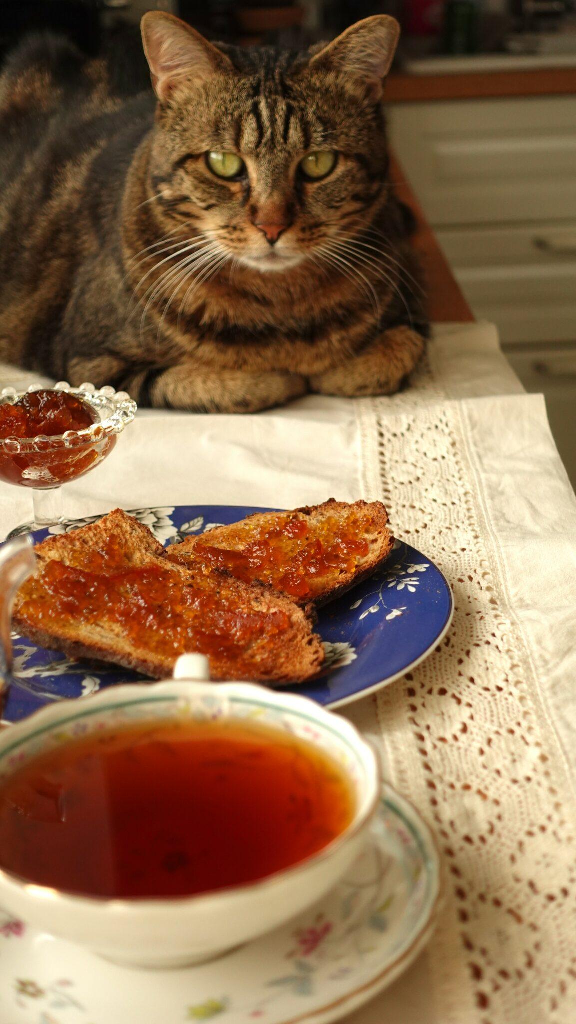 On commitments in Reading – The Ritual of Reading