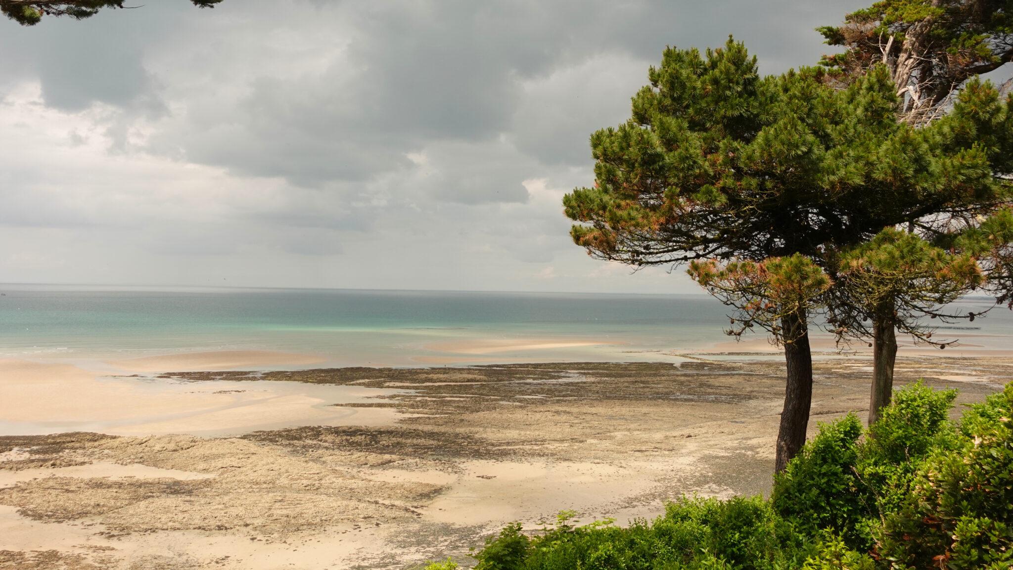 A Coastal Reading Ritual Among Fossils and Salt - The Ritual of Reading