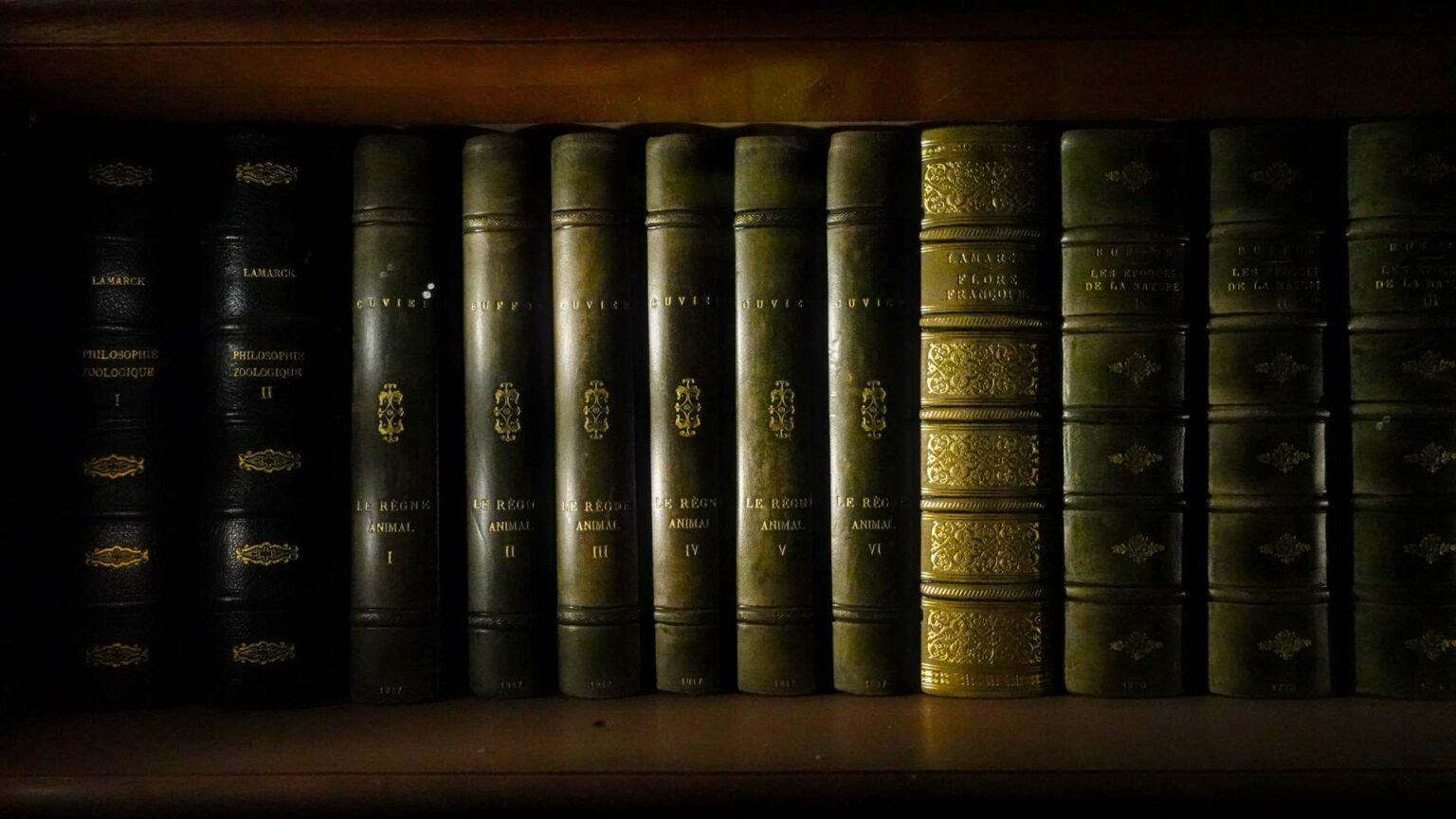 Essential French Literature: 5 Classic Books Every Reader Should Try ...